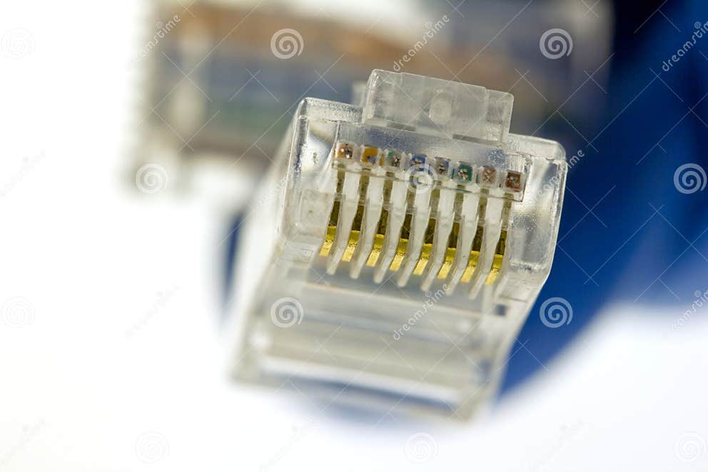 Ethernet plugs close up stock photo. Image of close, bandwidth - 22045482