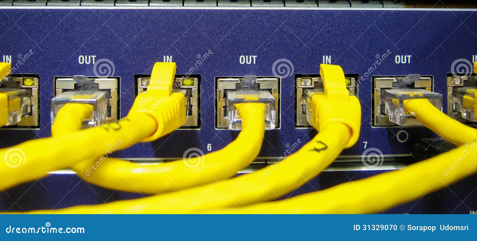 Ethernet RJ45 Cables are Connected To Internet Switch Stock Photo ...
