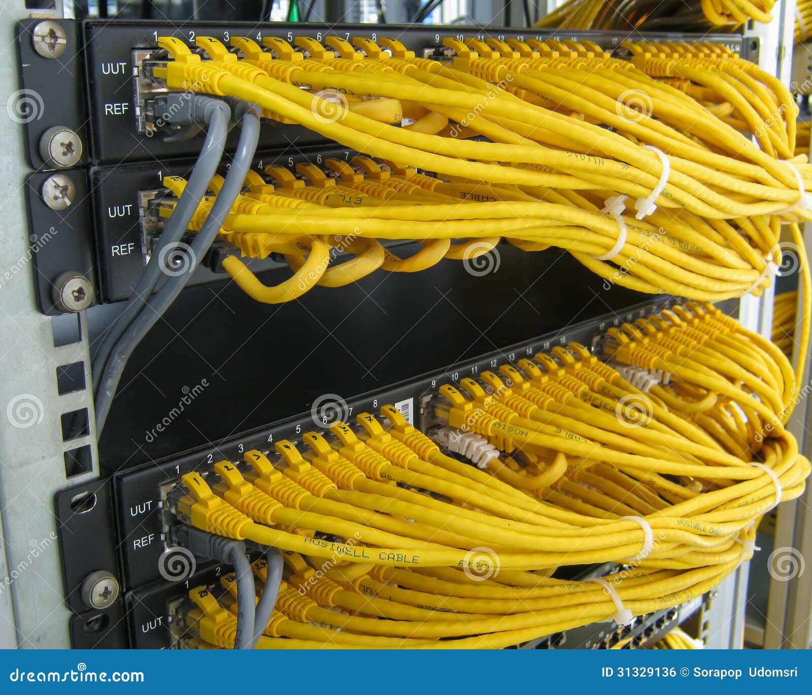 Ethernet Rj45 Blue Lan Plugs Stock Photography | CartoonDealer.com ...