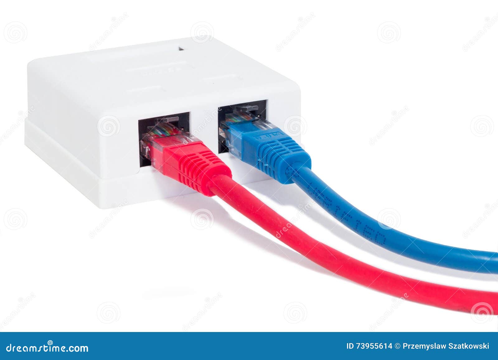 Ethernet Socket with Blue and Red Cables Stock Photo - Image of ...