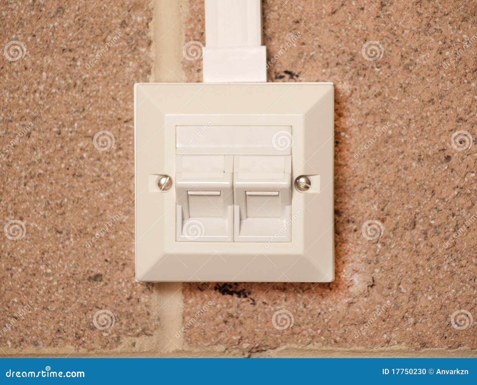 Ethernet Socket for Two Devices Stock Photo - Image of data, socket ...