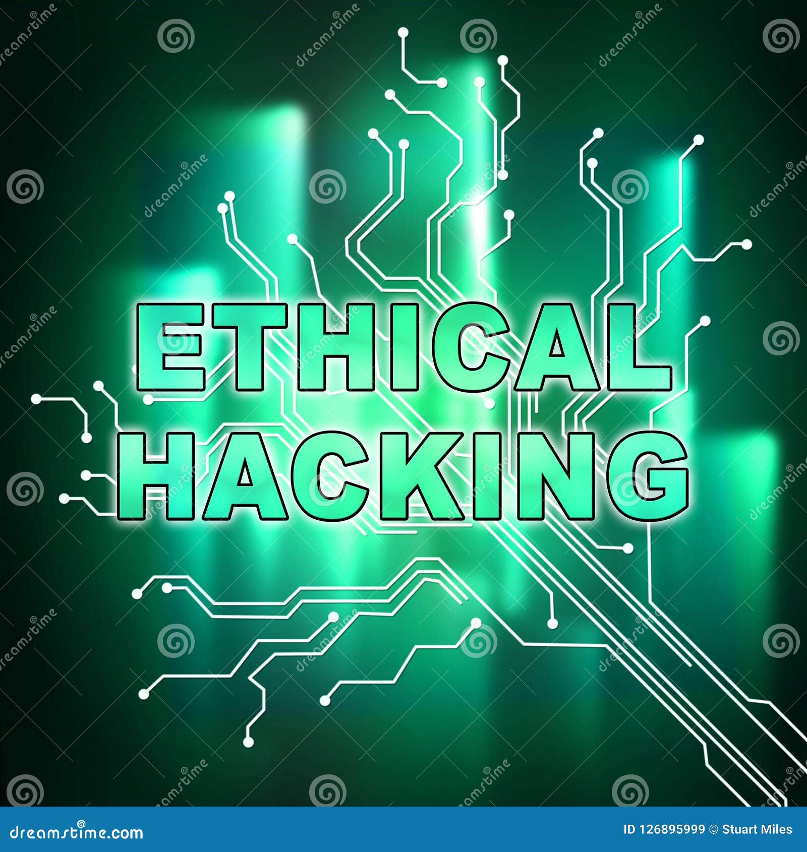 Ethical Hacking Data Breach Tracking 2d Illustration Stock Illustration ...