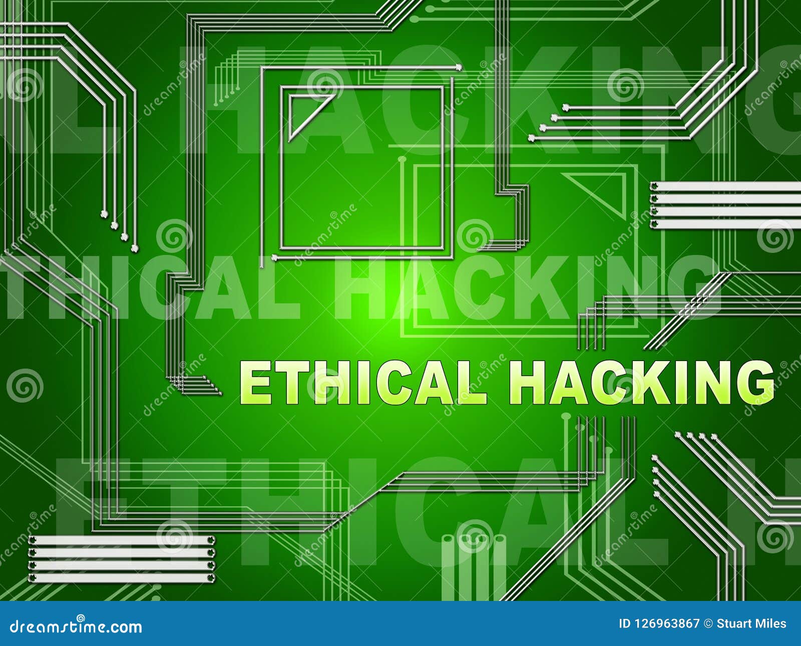 Ethical Hacking Data Breach Tracking 2d Illustration Stock Illustration ...