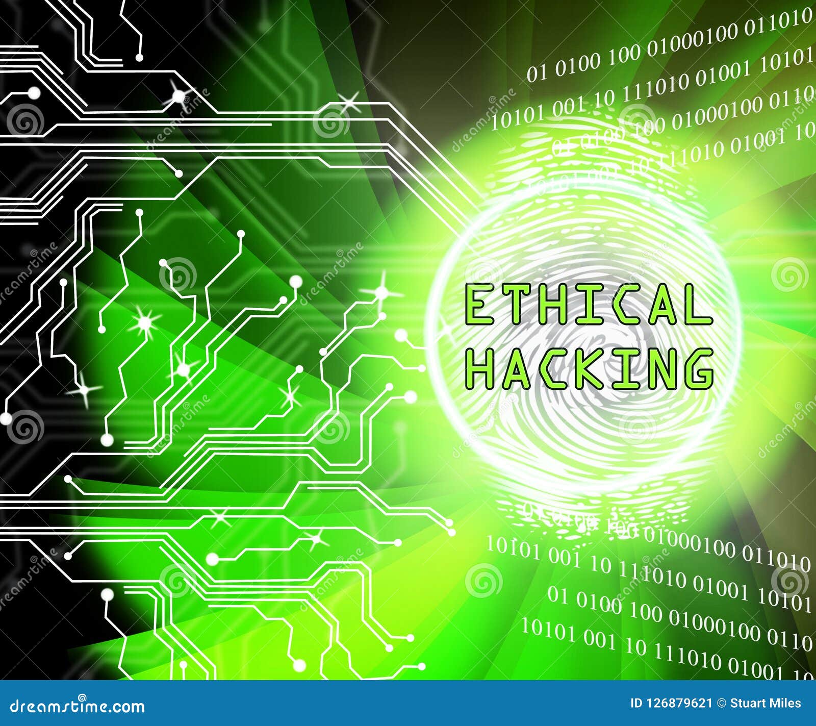 Ethical Hacking Data Breach Tracking 2d Illustration Stock Illustration ...