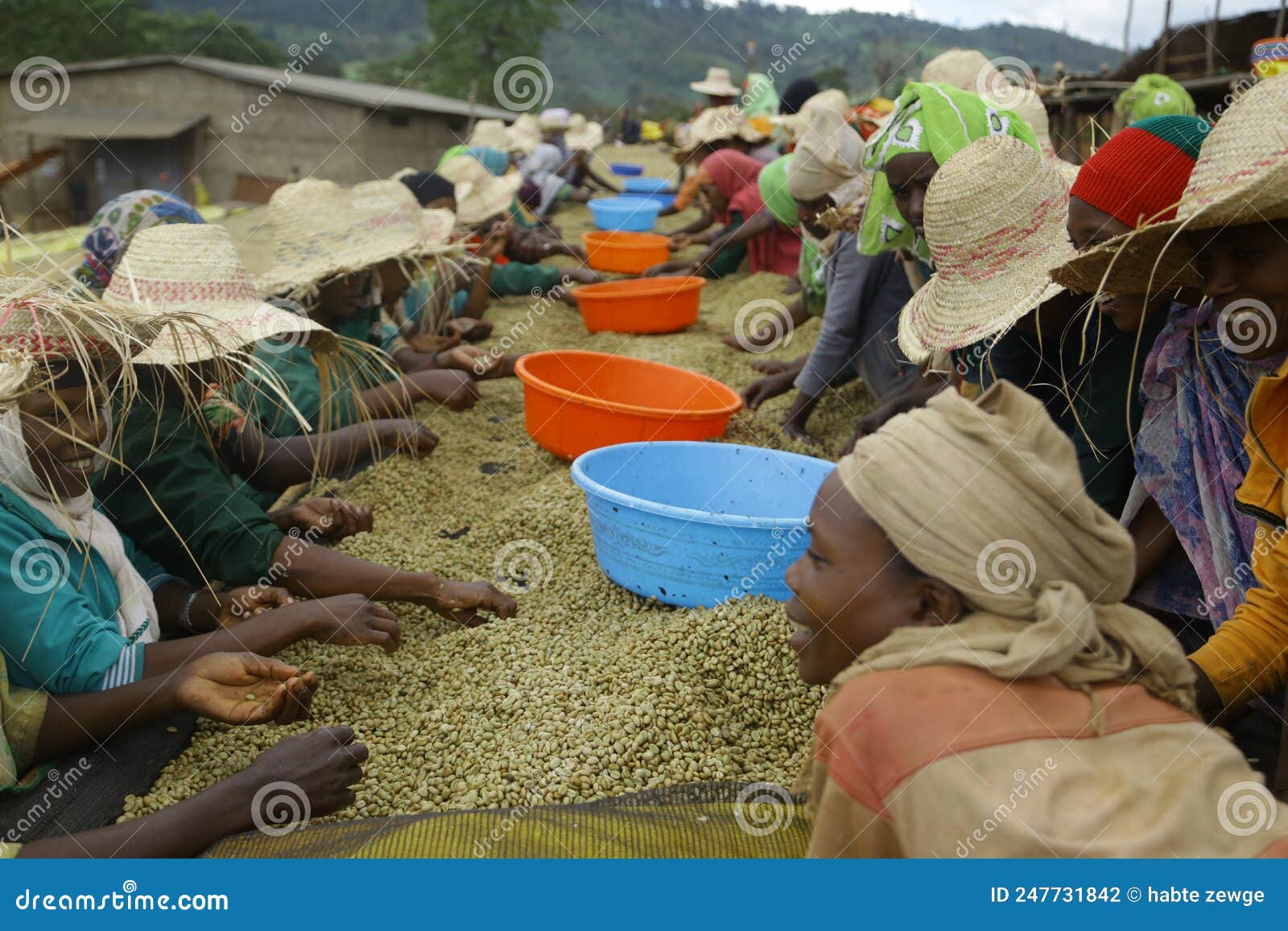 Ethiopian Coffee Ceremony In Dubai Coffee Museum, UAE Editorial Image ...
