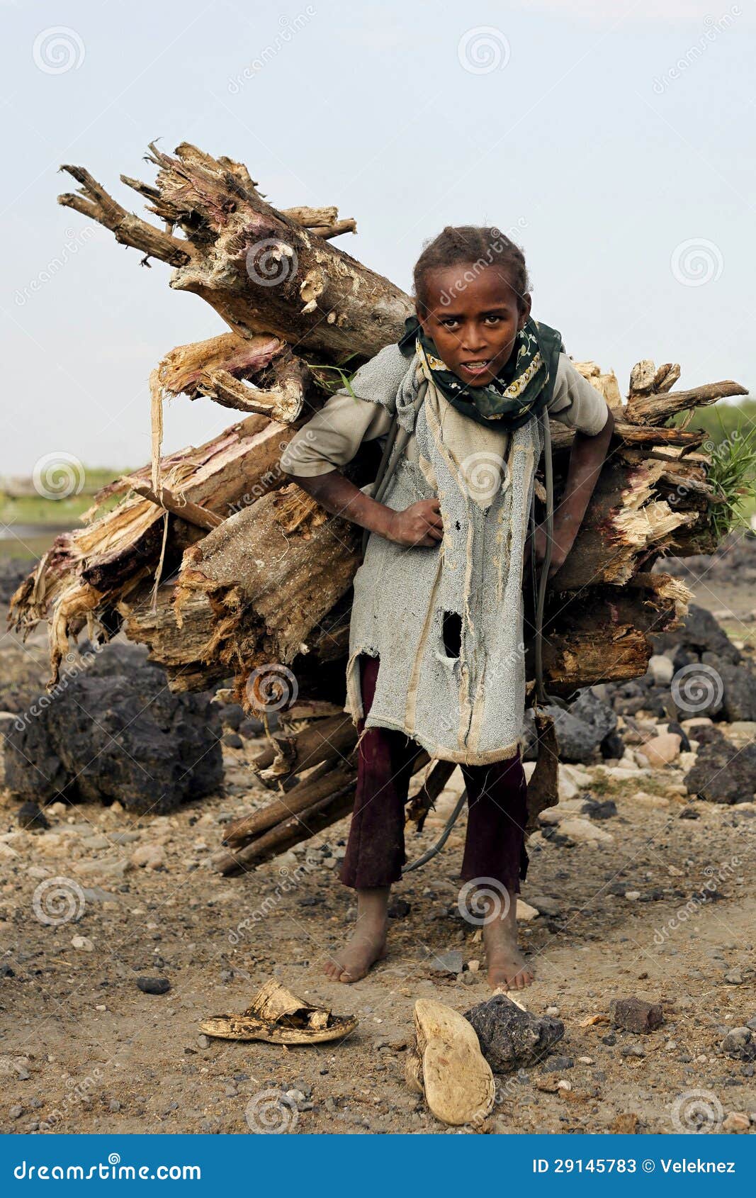 Ethiopian Hard Working Poor Girl Editorial Stock Photo - Image of work ...