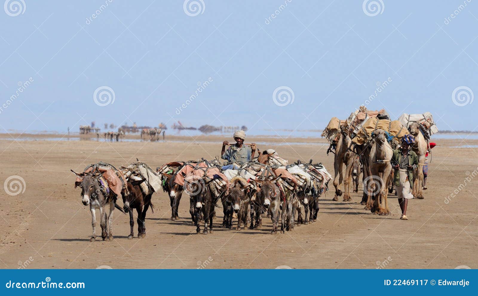 Ethiopian salt caravan editorial photography. Image of cultural - 22469117