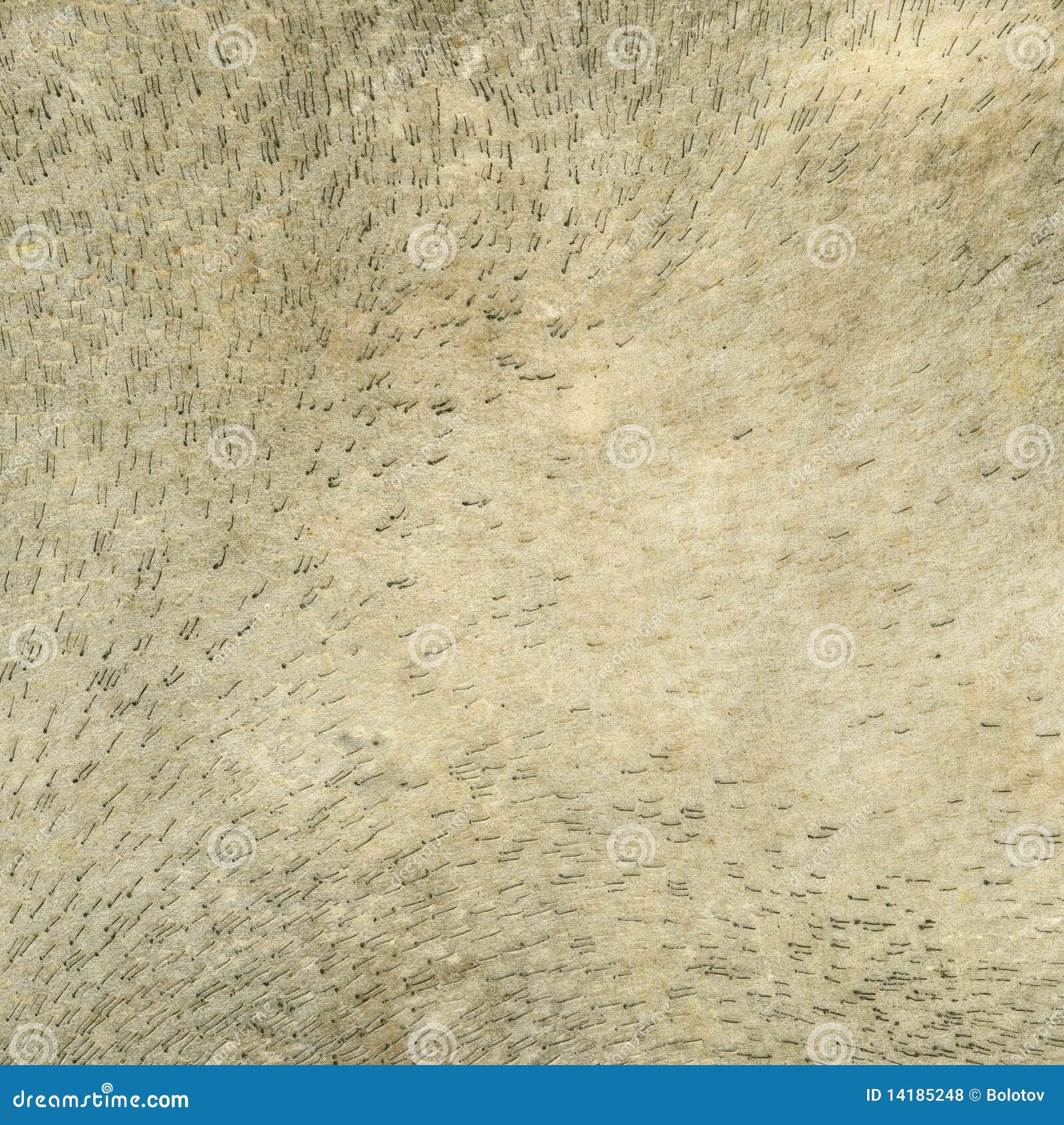 Ethnic Drum Leather Surface Background Stock Photo - Image of ...