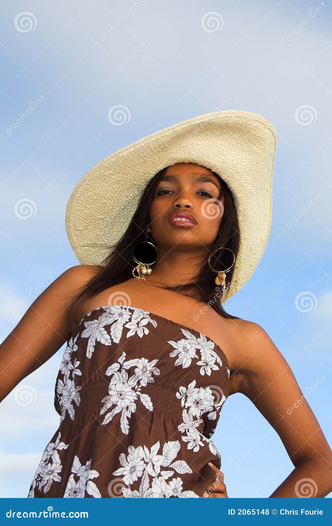 Ethnic Model stock photo. Image of female, holiday, posing - 2065148