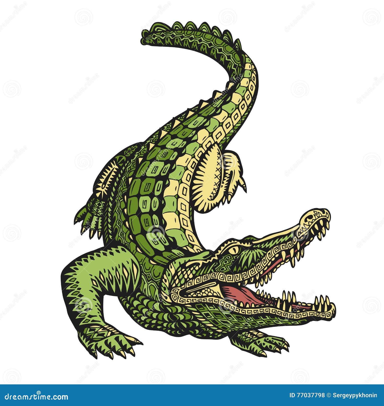 Alligator Vector Silhouette | CartoonDealer.com #154177415