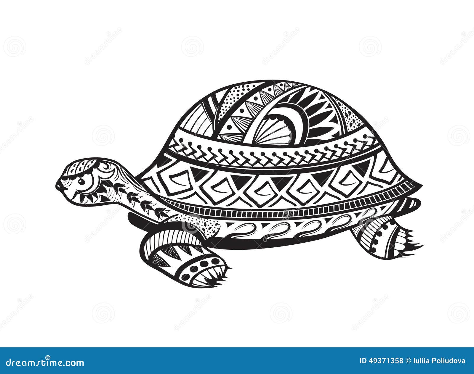 Ethnic ornamented tortoise stock illustration. Illustration of ...