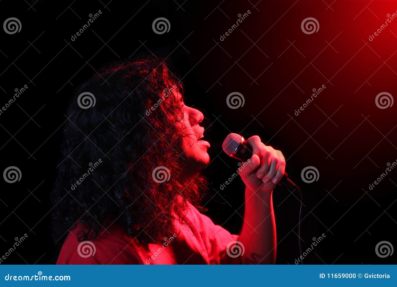 Ethnic singer stock photo. Image of entertainment, star - 11659000
