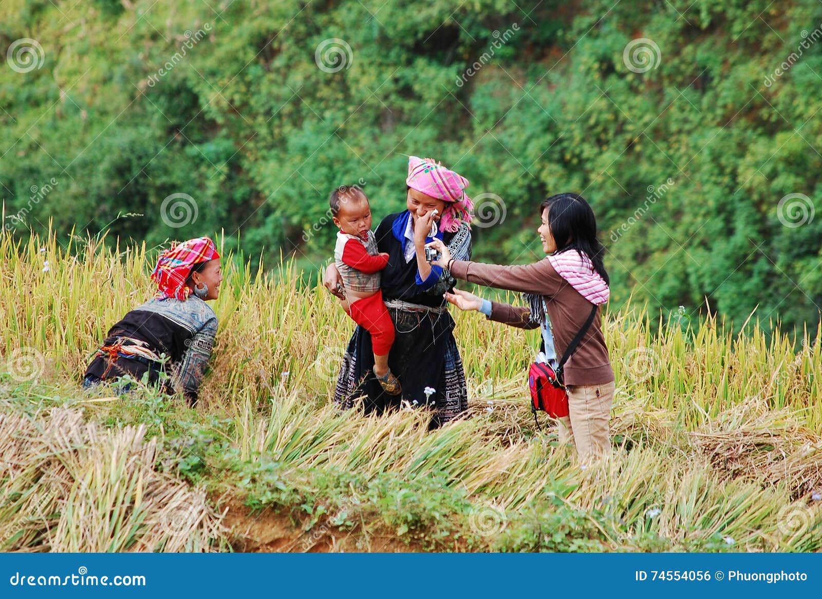 Ethnic Women on the Rice Fields in Y Ty, Vietnam Editorial Photo ...