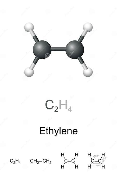 Ethylene, Ethene, Ball-and-stick Model, Molecular and Chemical Formula ...