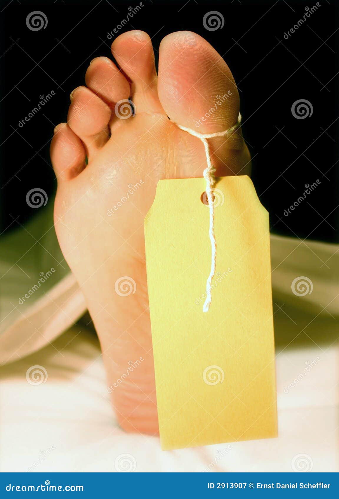 Etikettierte Zehe stockbild. Bild von karosserie, leiche - 2913907