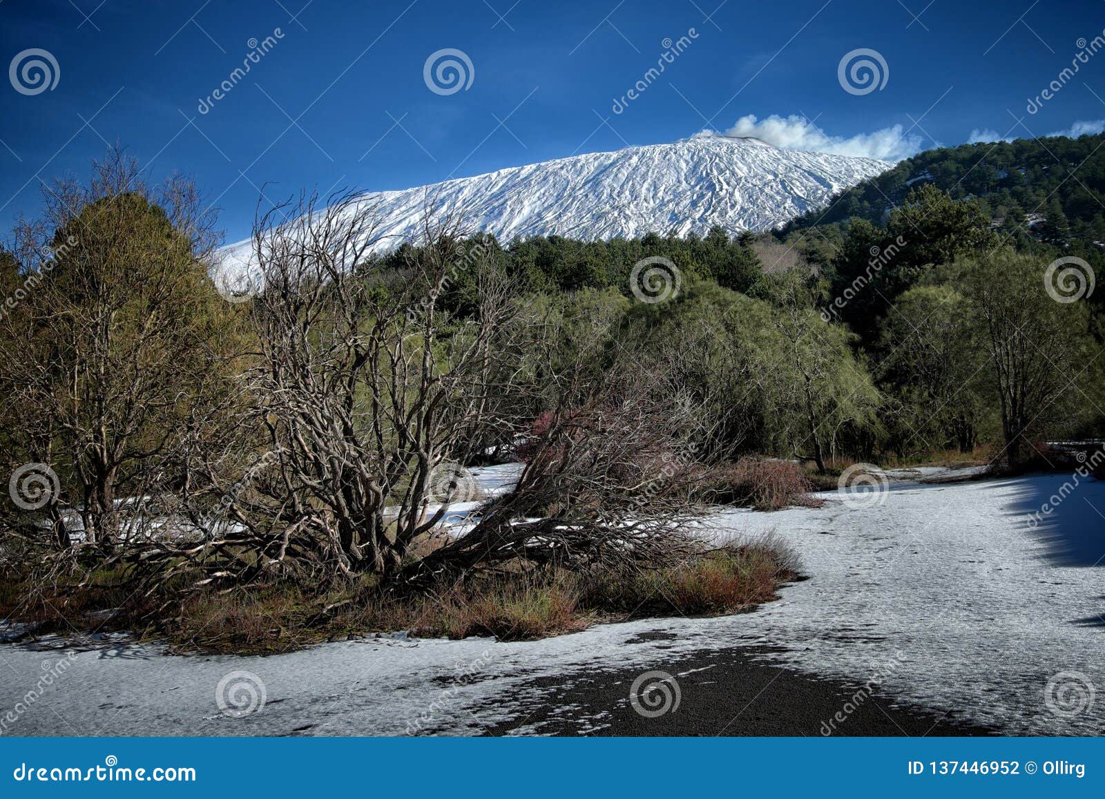 Etna Mount Winter Landscape Stock Photo - Image of sicily, pine: 137446952