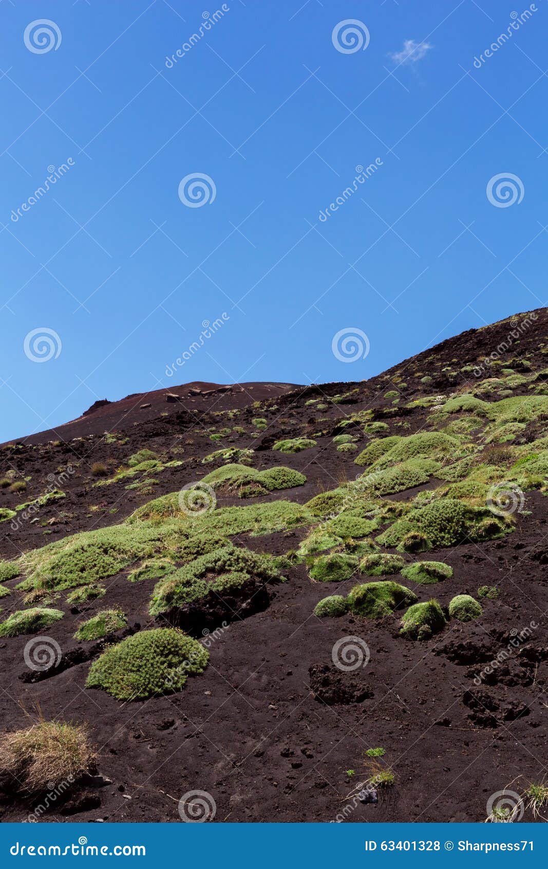 Etna Volcano plant lava stock photo. Image of desolately - 63401328