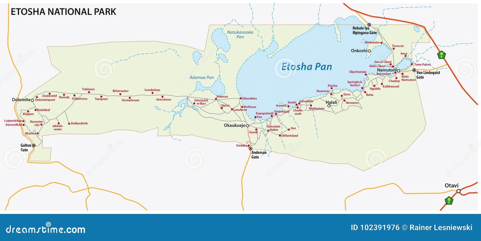Etosha National Park Vector Map, Namibia Stock Vector - Illustration of ...