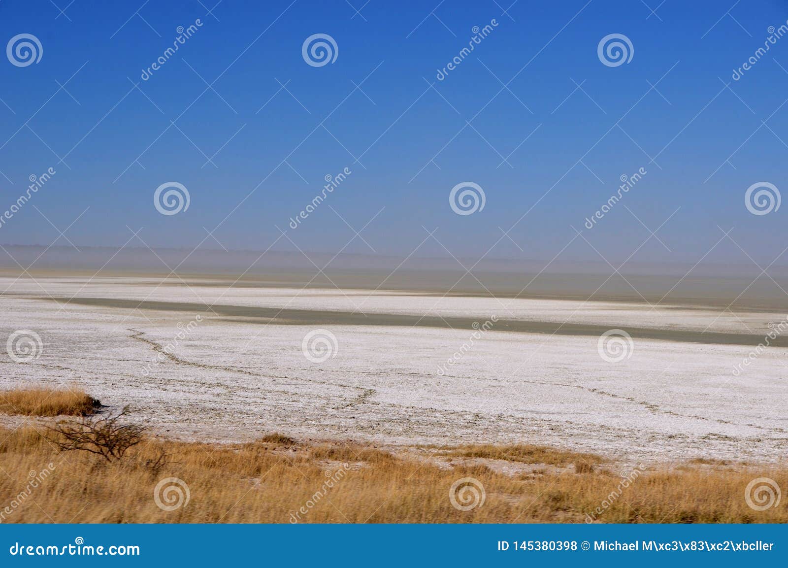 The Etosha Salt Pans in the National Park in Namibia Stock Photo ...