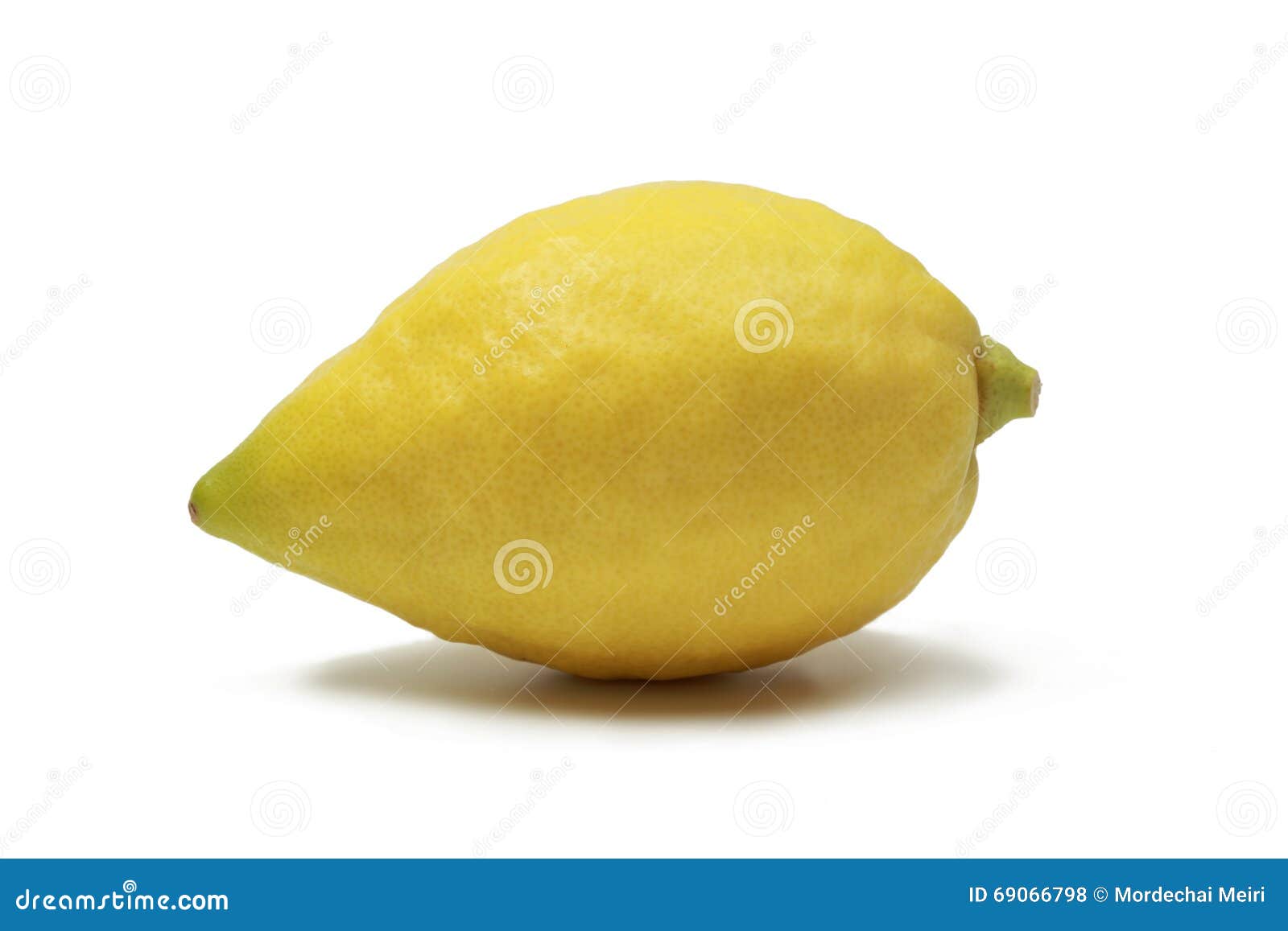 Etrog (Jewish Citron), Isolated Stock Photo - Image of fruit, jewish ...