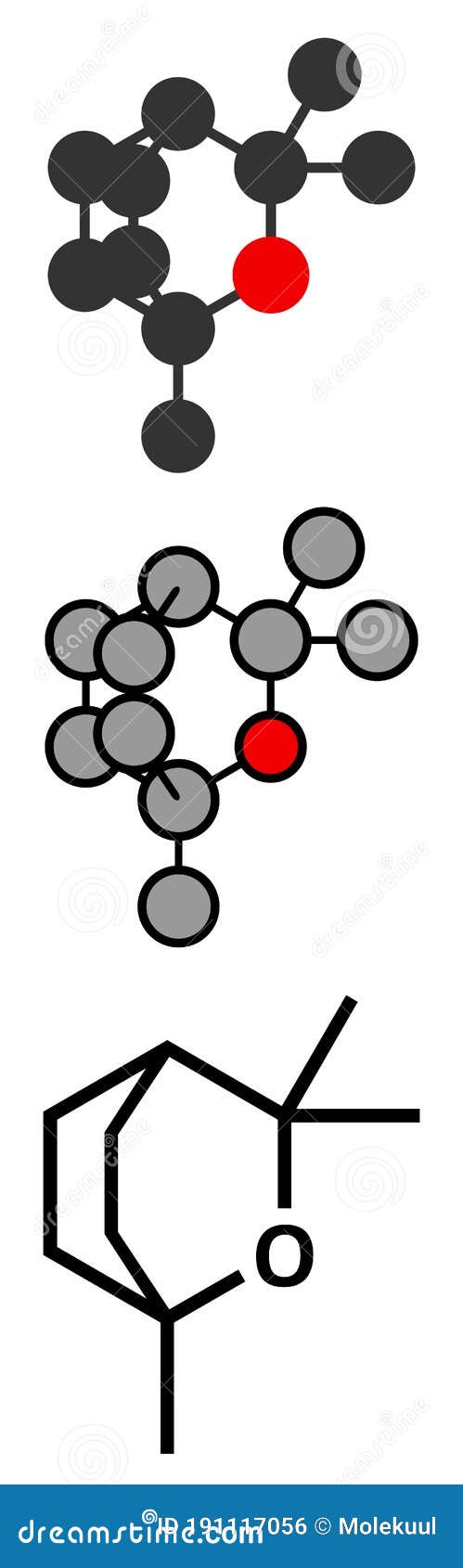 Eucalyptol Eucalyptus Oil Molecule. Stylized 2D Renderings and ...
