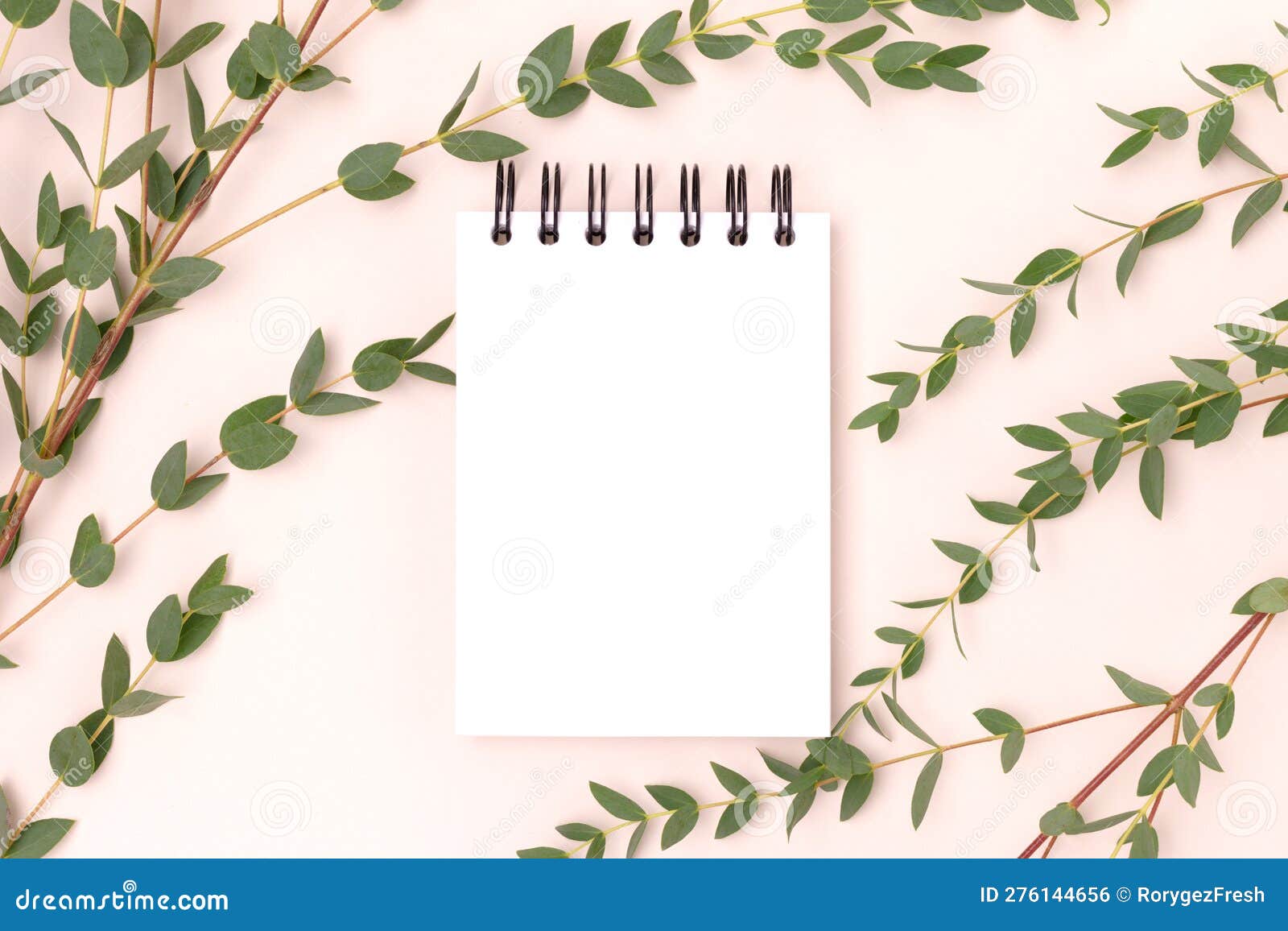 Eucalyptus Branches and Empty Notepad Mockup. Stock Photo - Image of ...