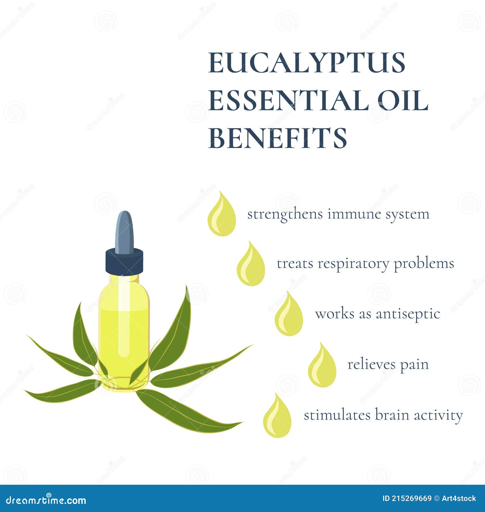 Eucalyptus Essential Oil Benefits Infographics Medical Poster Stock Vector Illustration Of