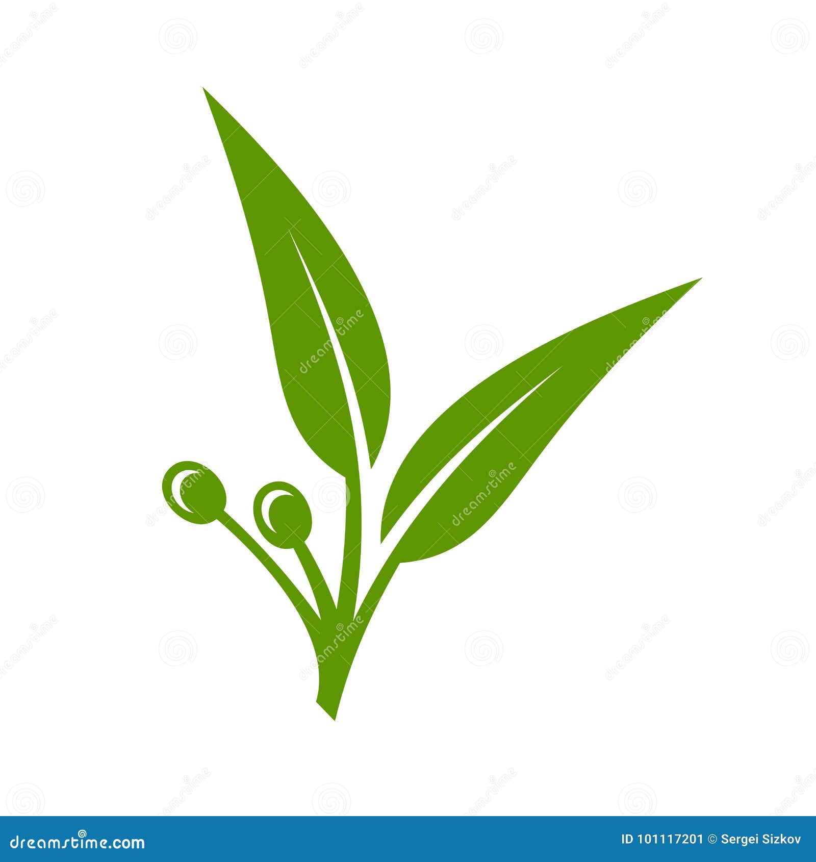 Icon Eucalyptus Stock Illustrations – 5,118 Icon Eucalyptus Stock ...