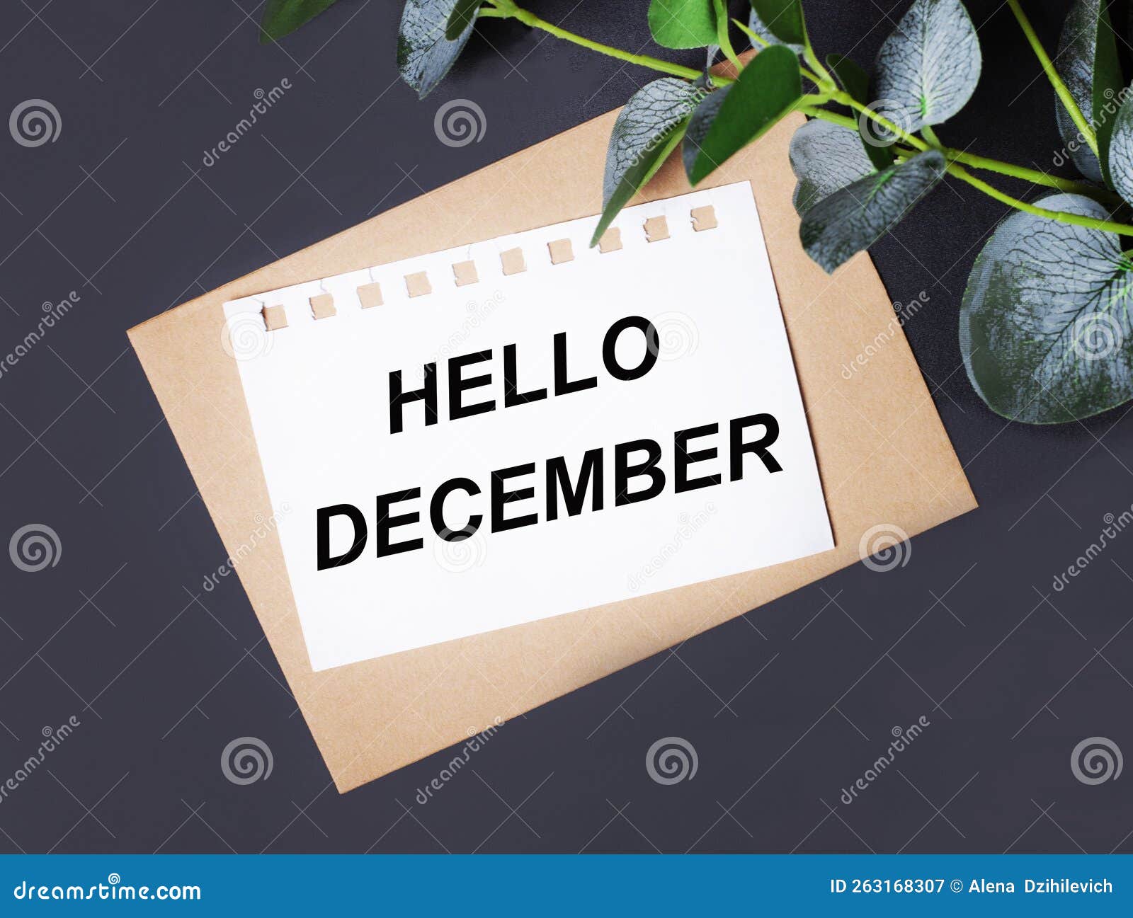 Eucalyptus Leaves, an Envelope and a White Card with the Text HELLO ...