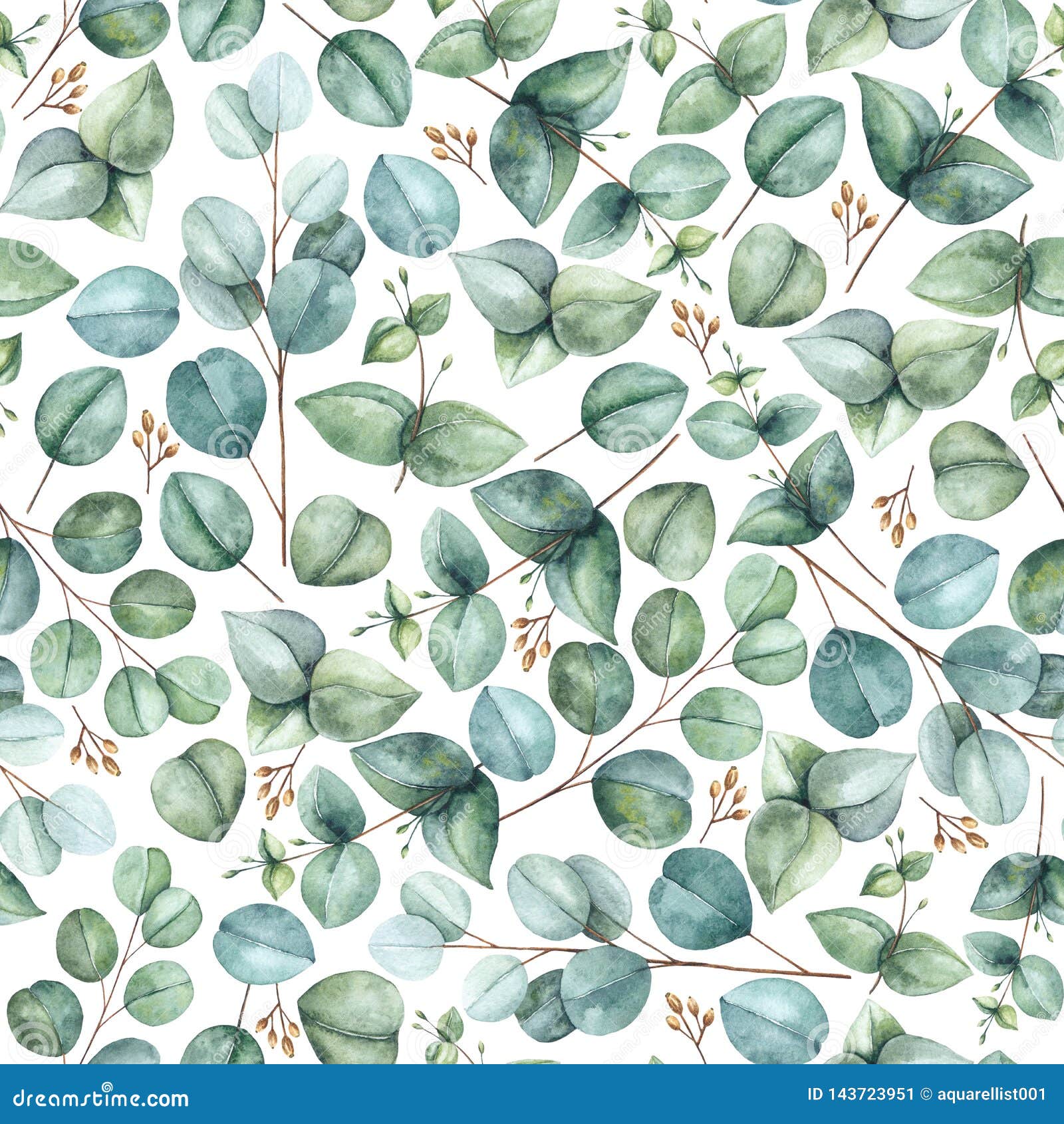 Eucalyptus pattern stock illustration. Illustration of leaves - 143723951