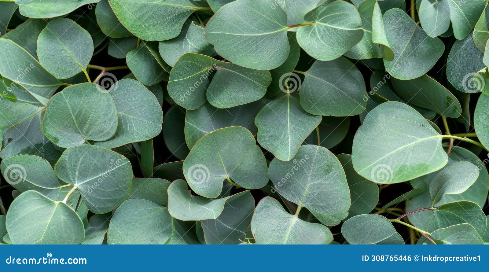 Eucalyptus Seamless Floral Background. Repeating Nature Pattern Stock ...