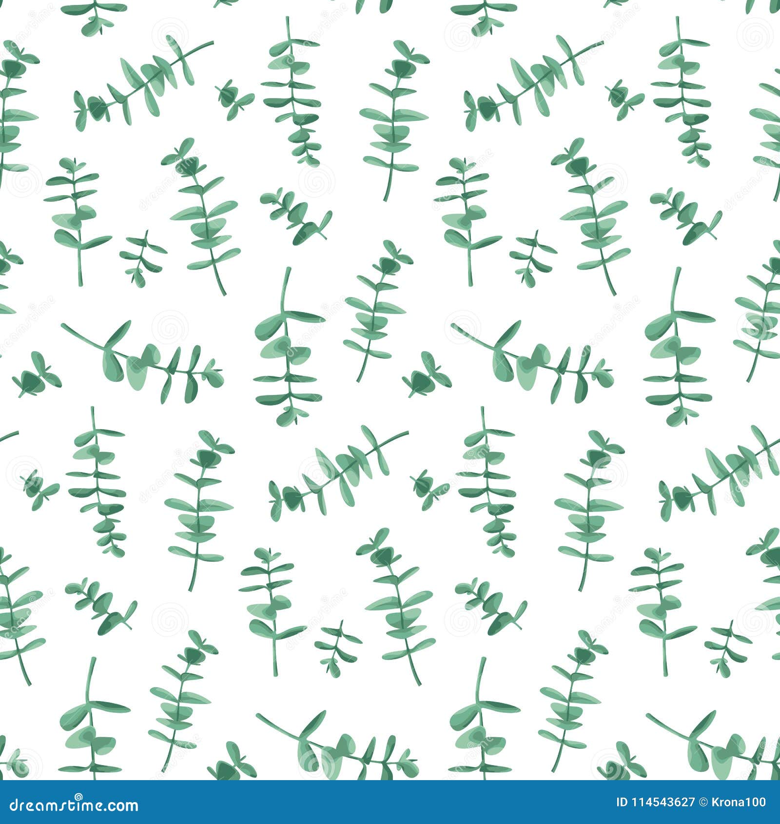 Eucalyptus Seamless Pattern Stock Vector - Illustration of branch ...