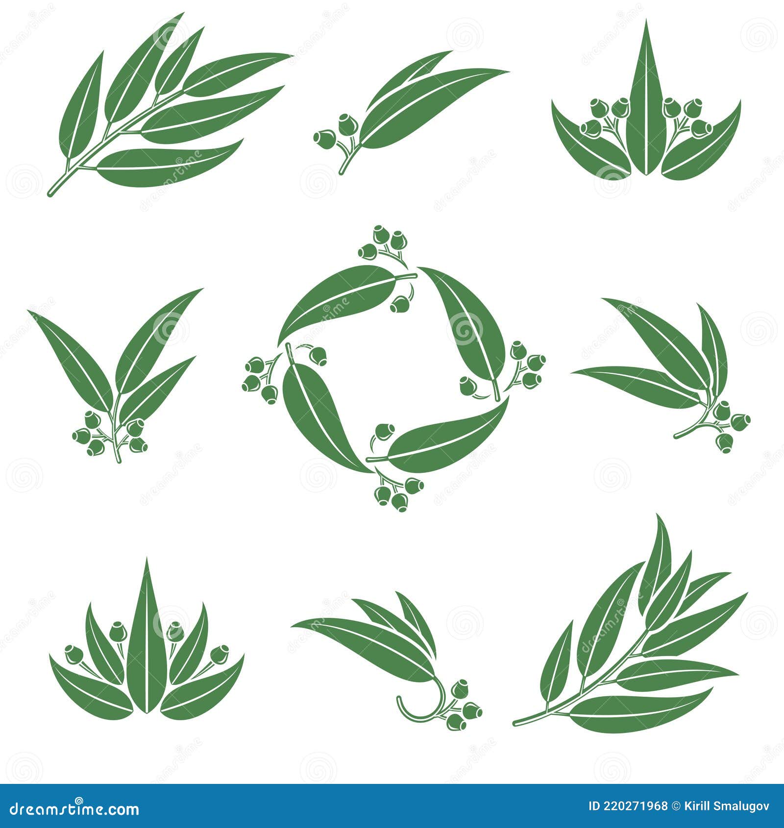 Eucalyptus Set. Collection Icon Eucalyptus Stock Vector - Illustration ...