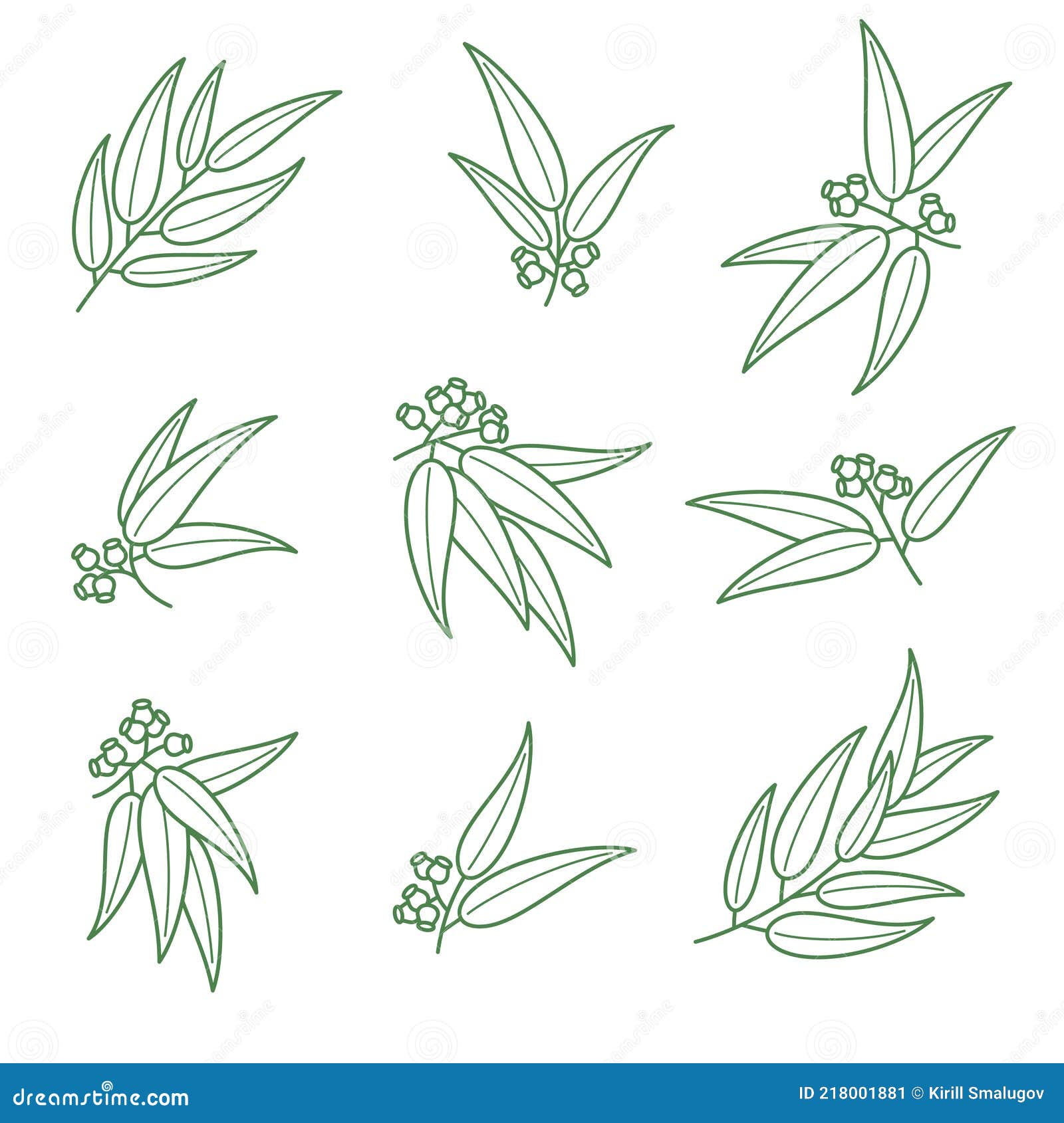 Eucalyptus Set. Collection Icon Eucalyptus Stock Vector - Illustration ...