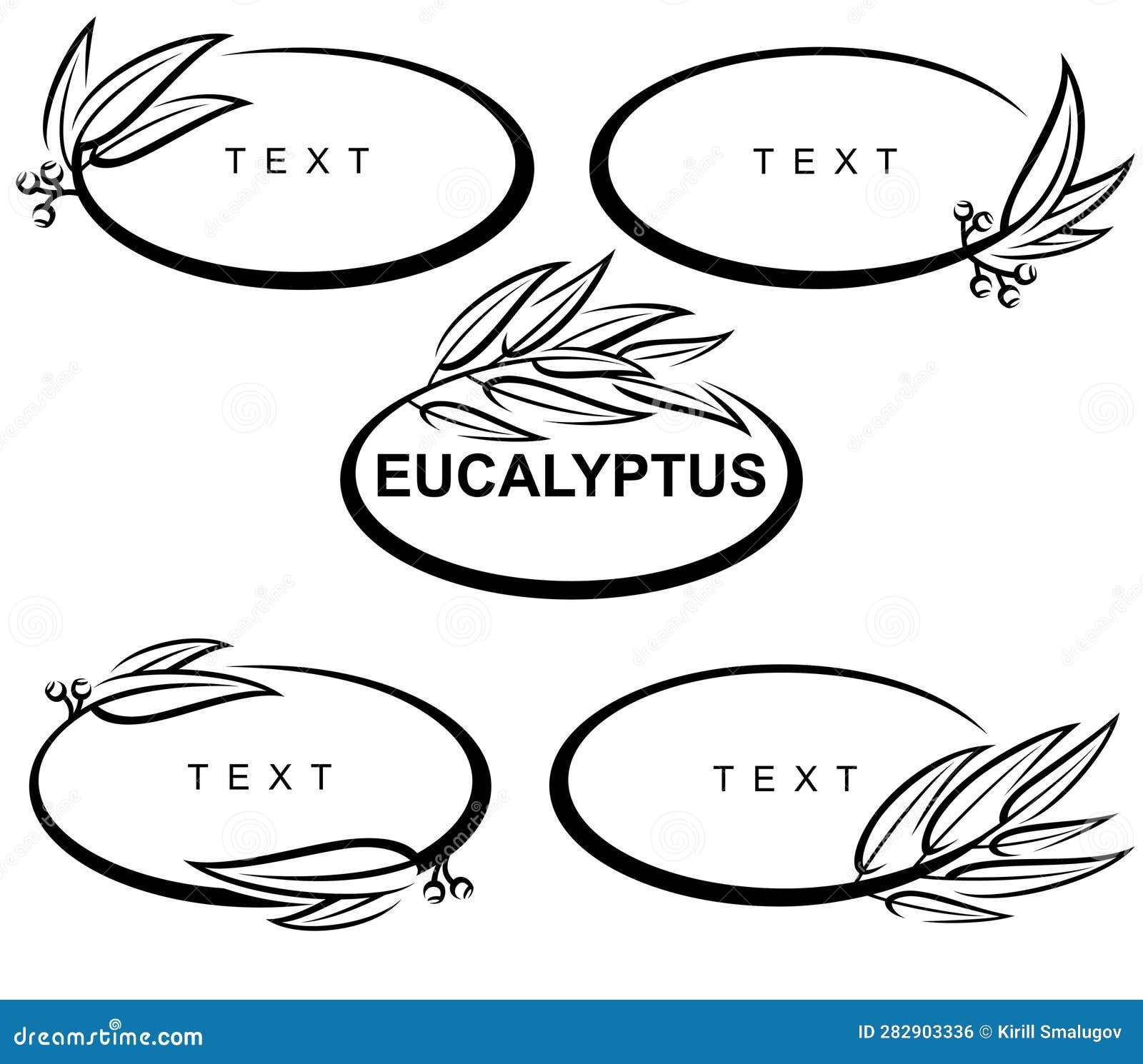 Eucalyptus Set. Collection Eucalyptus Leaves Frame Stock Vector ...