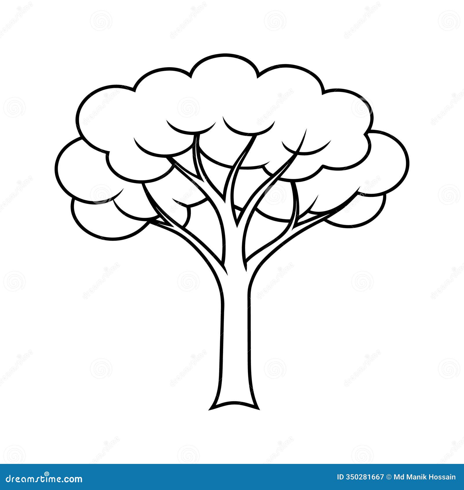 Eucalyptus-tree Coloring Page Vector Design Stock Illustration ...