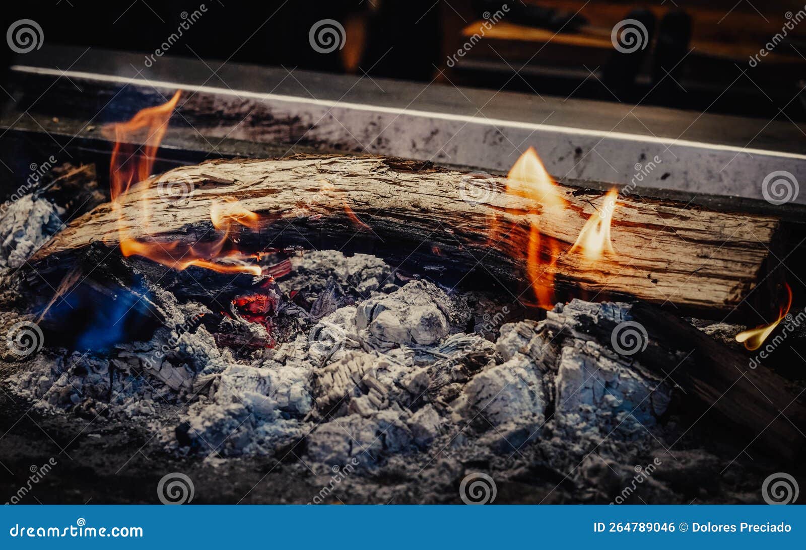 Eucalyptus Trunk Burning on the Grill Stock Photo - Image of barbecue ...