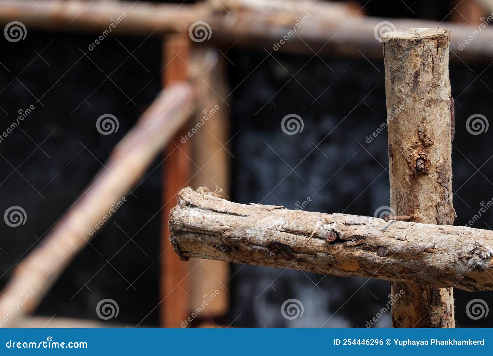 Eucalyptus Wood Used To Support Labours and Material in the ...