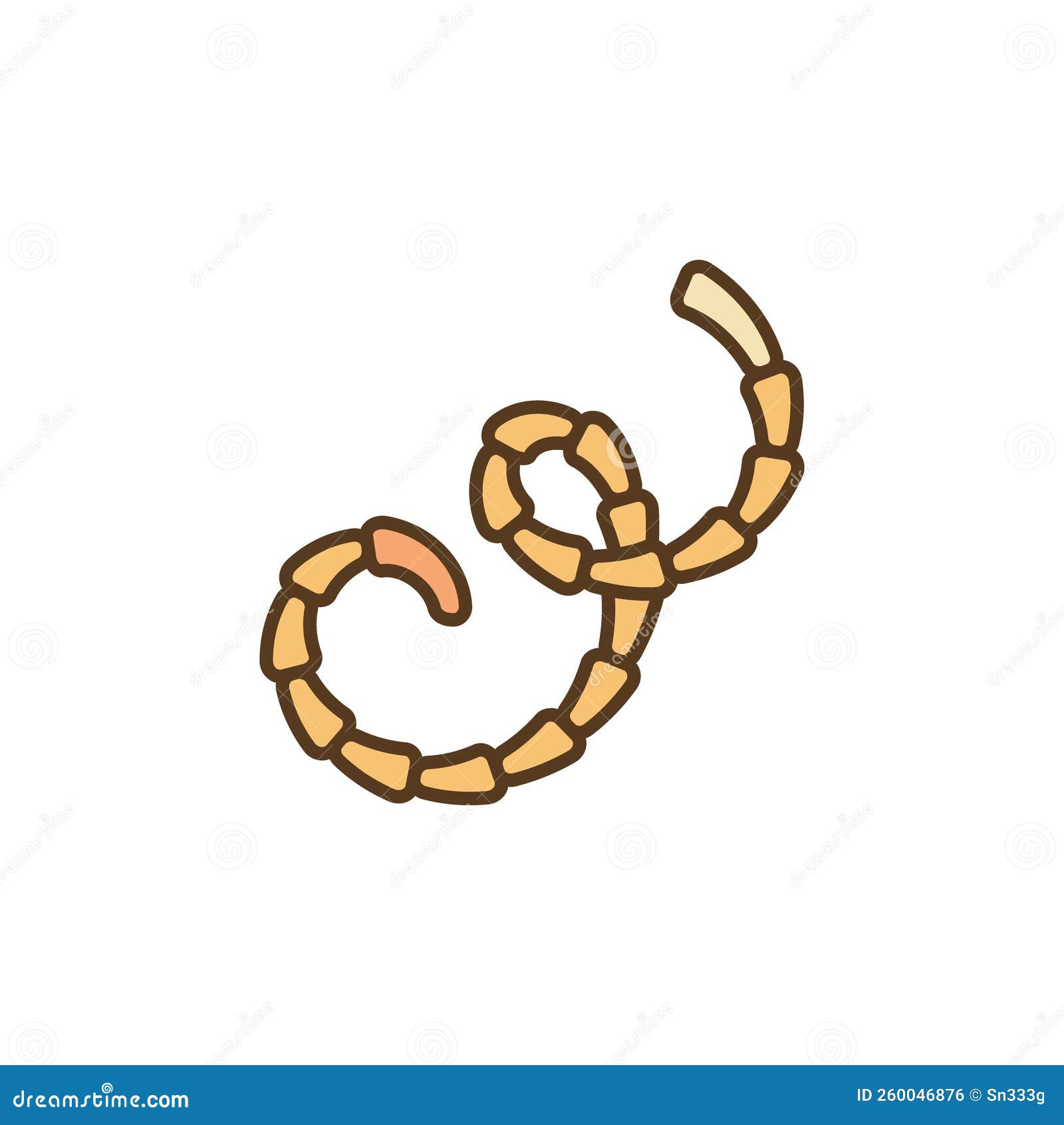 Eucestoda Tapeworm Vector Concept Colored Modern Icon Stock ...