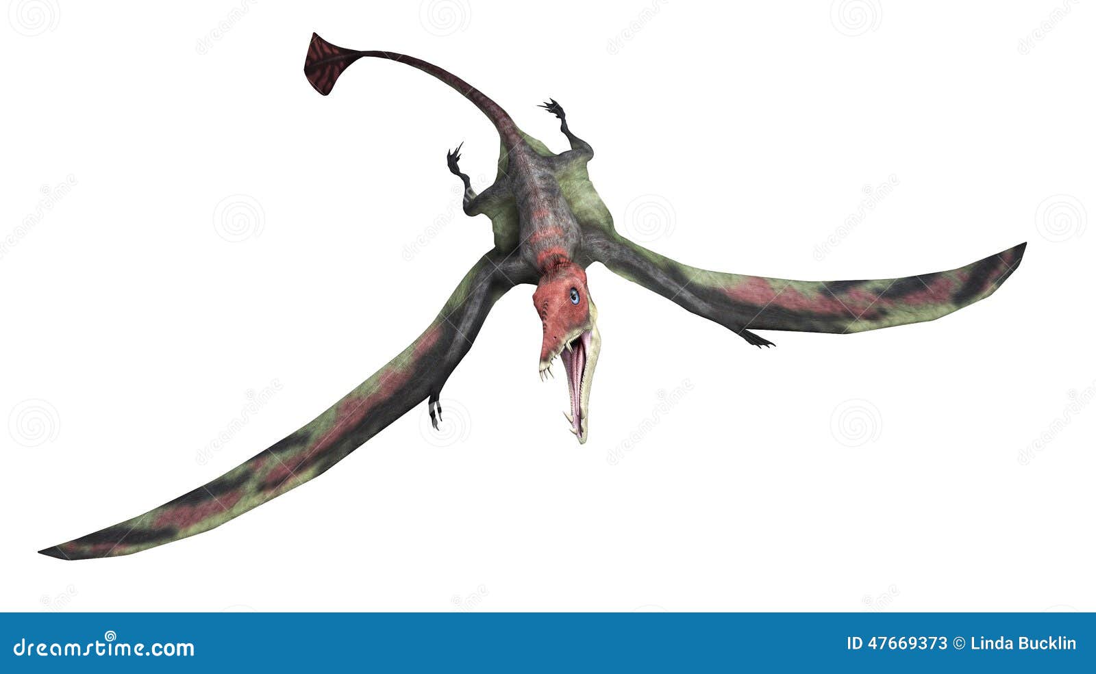 Eudimorphodon stock illustrationer. Illustration av bevingat - 47669373