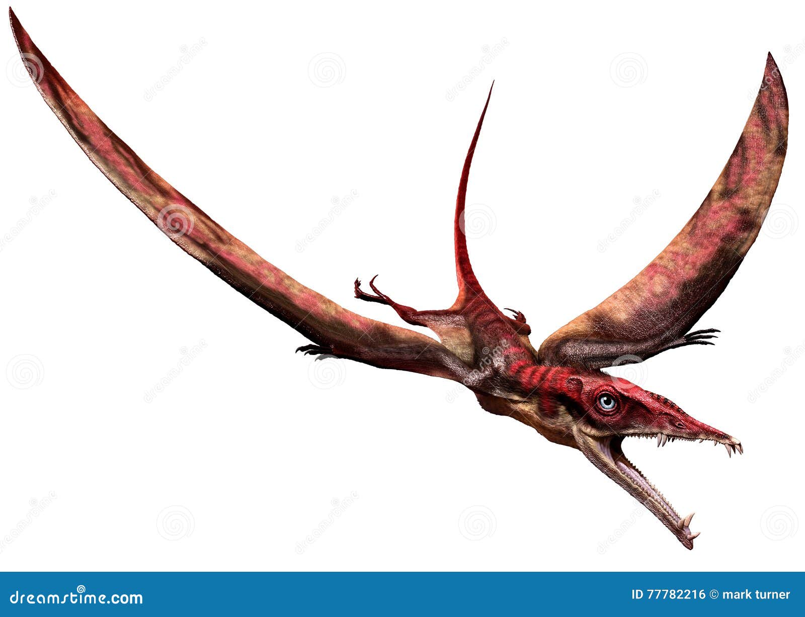 Eudimorphodon Pterosaur Tail Stock Image | CartoonDealer.com #131619379