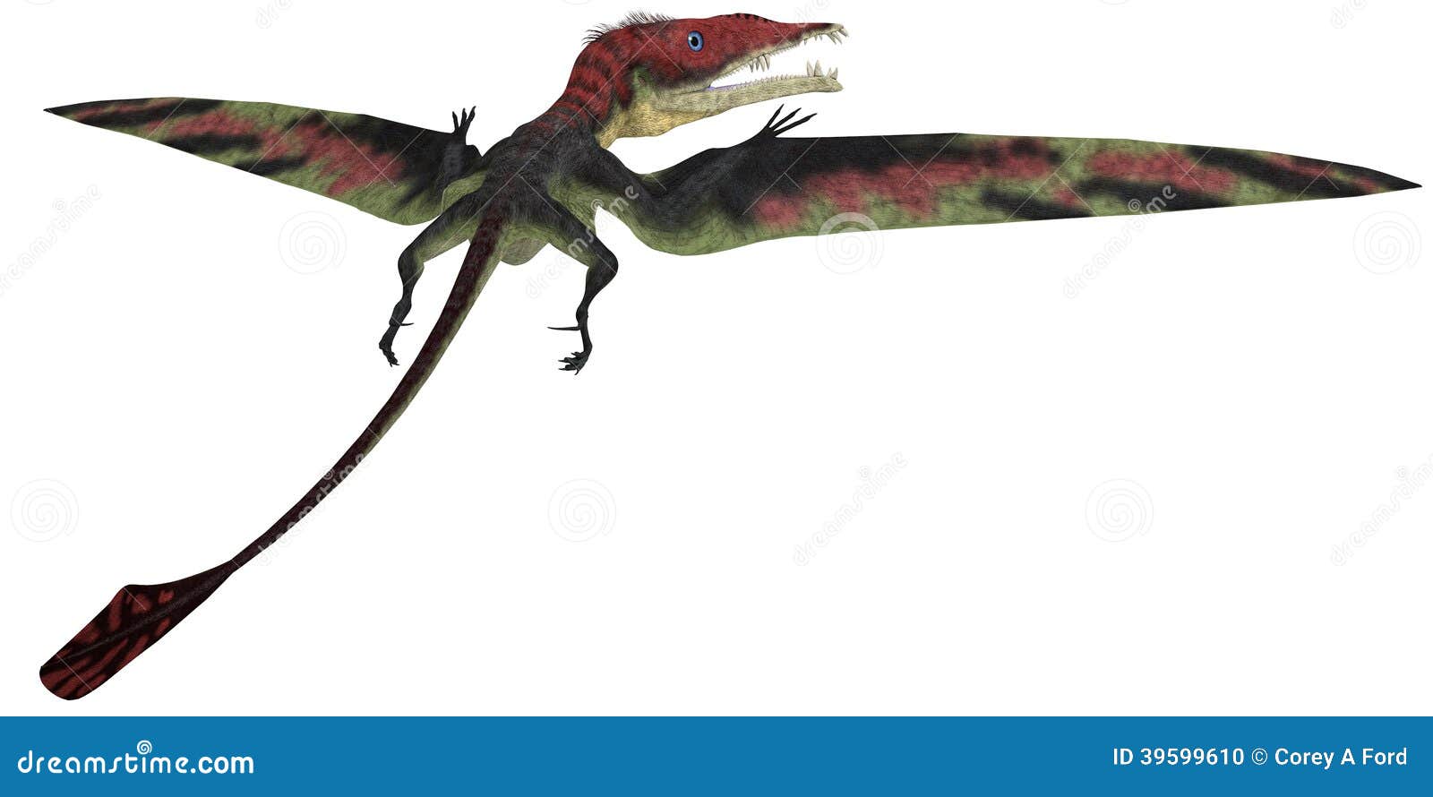 Eudimorphodon Profile on White Stock Illustration - Illustration of ...