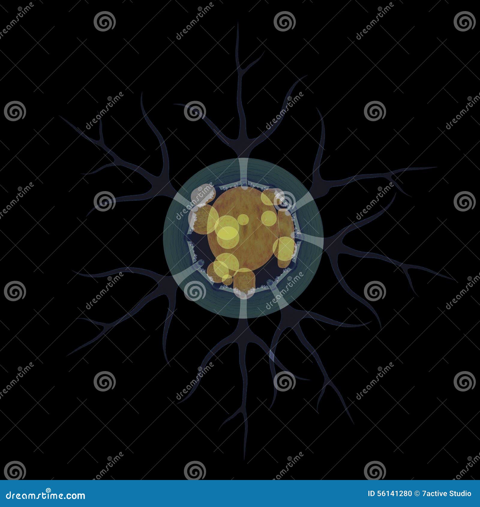 Euglypha stock illustration. Illustration of family, species - 56141280