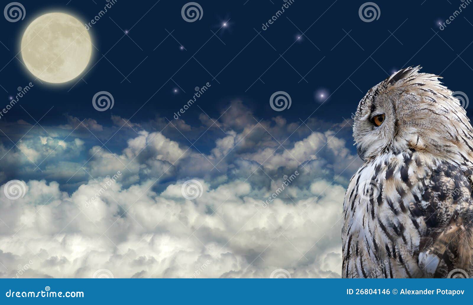 Eule am Vollmond stockfoto. Bild von himmel, sterne, gelb - 26804146