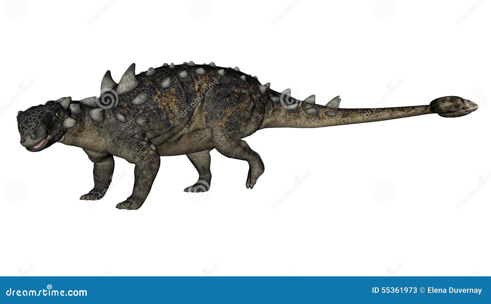 Euoplocephalus Dinosaur Silhouette Isolated On White Background Cartoon ...