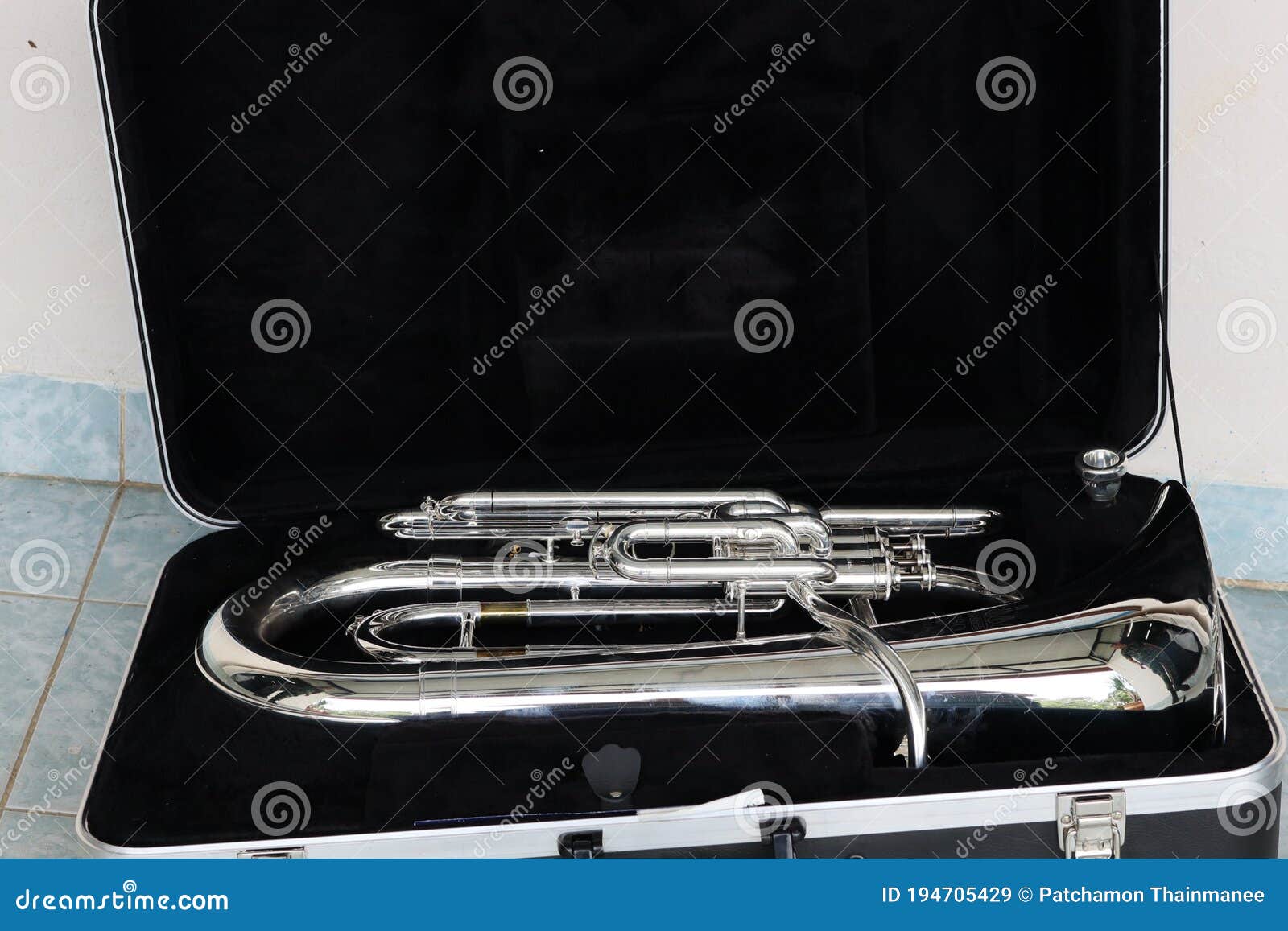 Euphonium Instruments with Black Case Musical Instruments for Bands ...