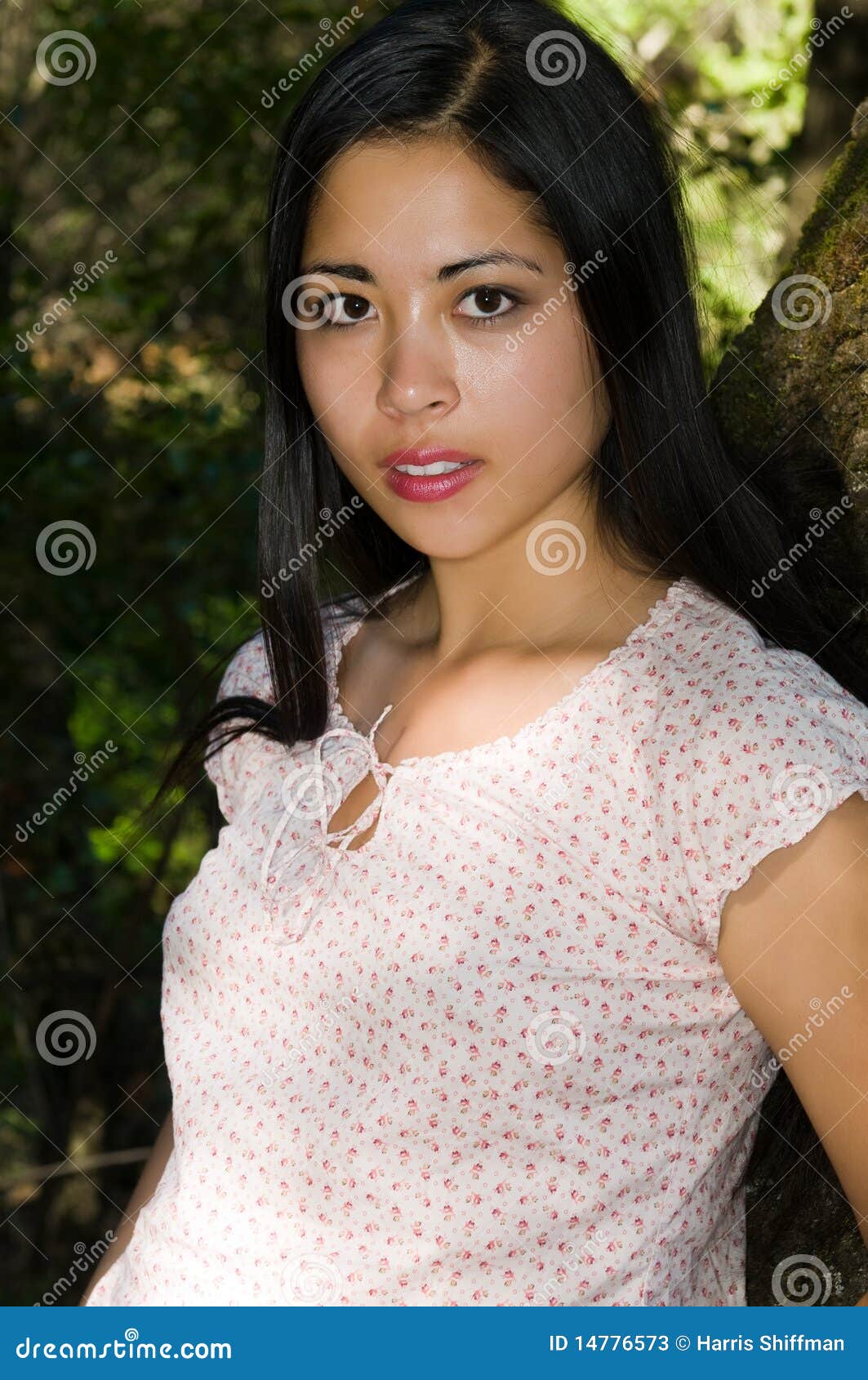 Eurasian stock image. Image of outdoors, outside, eurasian - 14776573