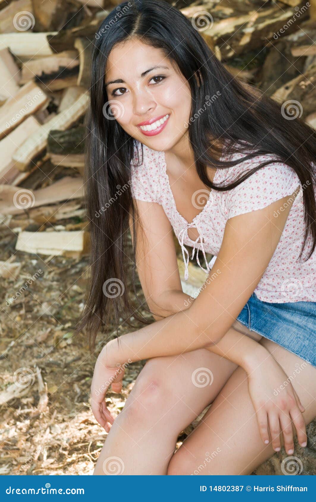 Eurasian stock image. Image of lovely, denim, woodpile - 14802387
