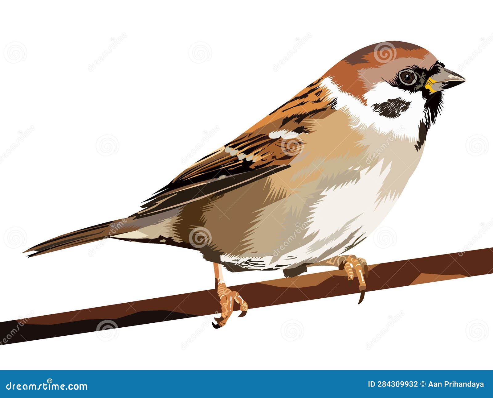 Eurasian Tree Sparrow Bird Vector Stock Vector - Illustration of animal ...