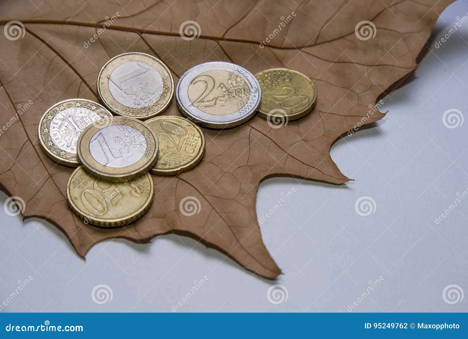 Euro Coins on the Maple Leaf Stock Photo - Image of lost, currency ...